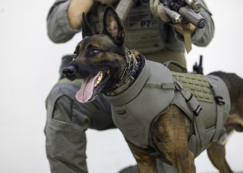 P7K9 | PROJECT7 ARMOR