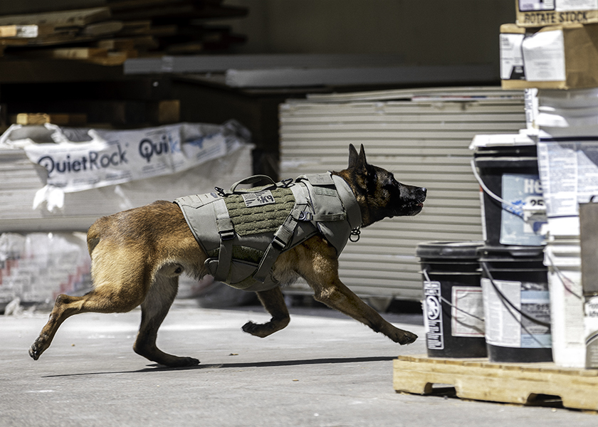 P7K9 | PROJECT7 ARMOR