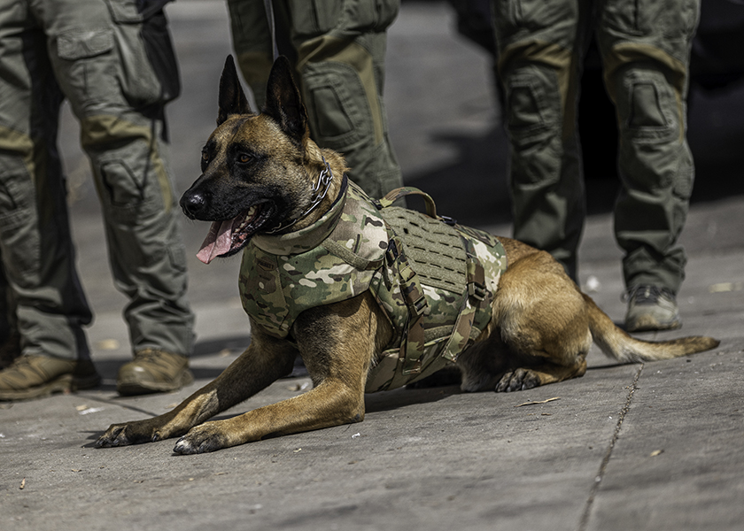 P7K9 | PROJECT7 ARMOR