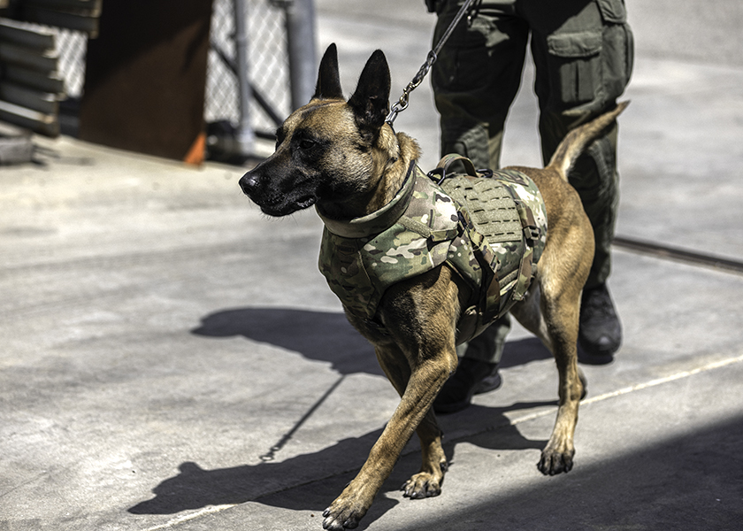 P7K9 | PROJECT7 ARMOR