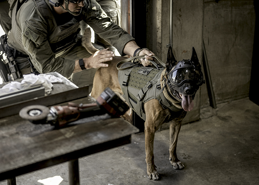 P7K9 | PROJECT7 ARMOR