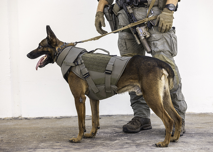 P7K9 | PROJECT7 ARMOR